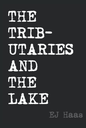 The Tributaries and the Lake (Preview) | The Ted K Archive