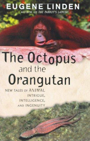 The Octopus and the Orangutan | The Ted K Archive